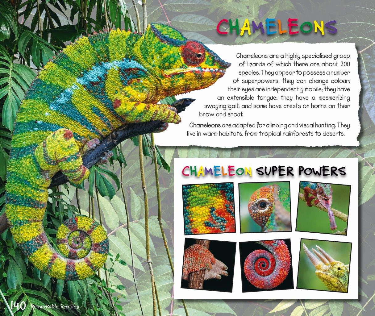 2020 Hanson Box | Hanson Box Project for Schools