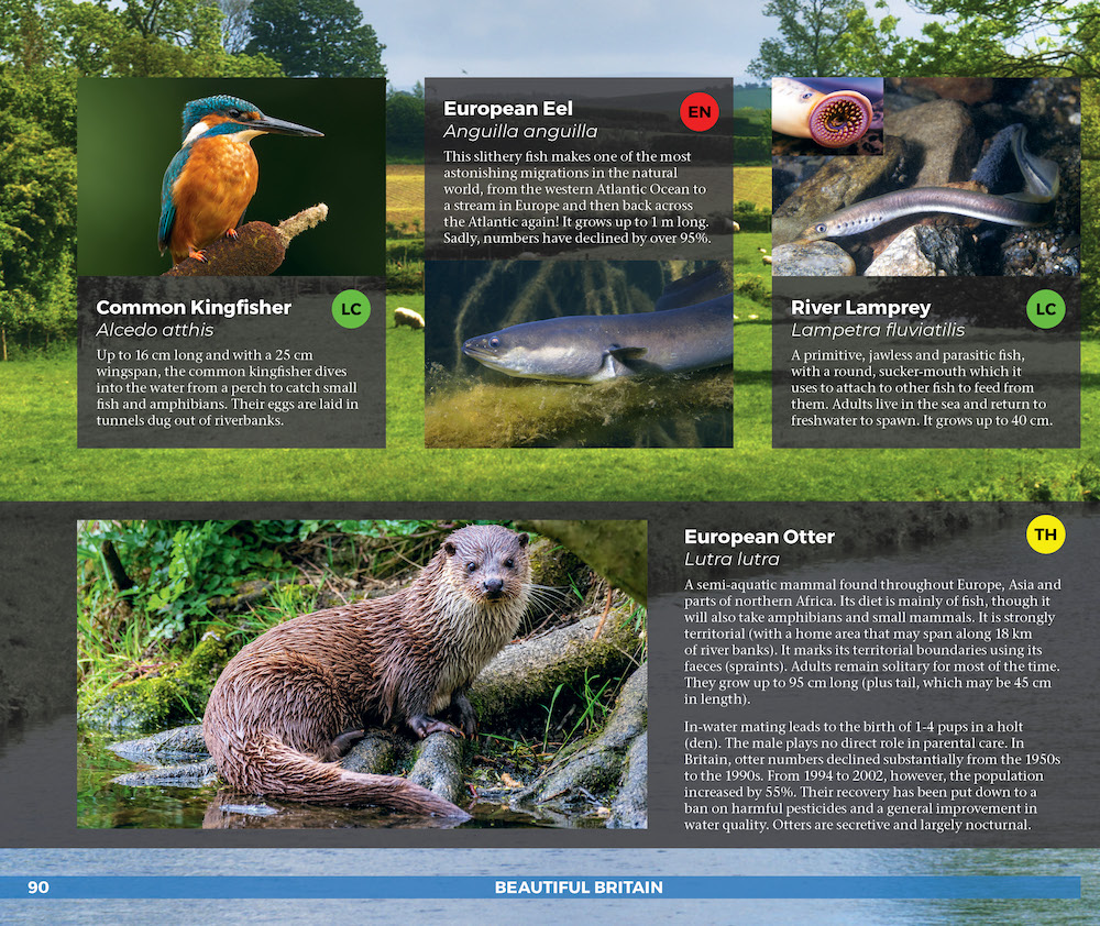 2021 Hanson Box | Educational Resrouces for Schools
